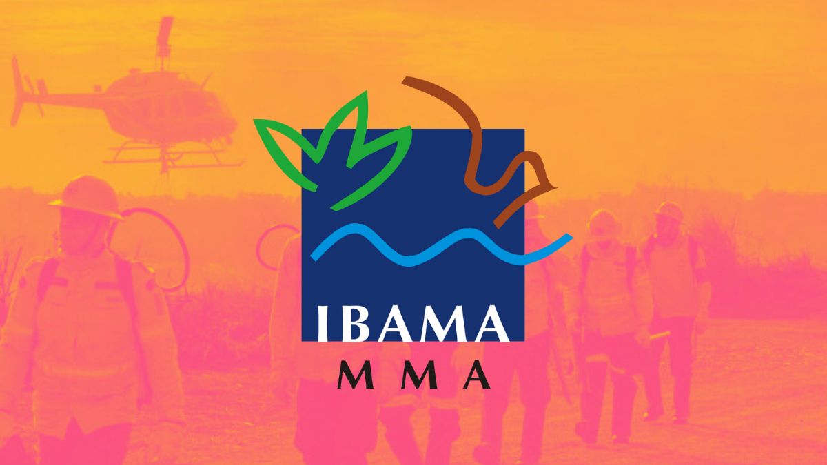 Ibama abre 04 editais em Rondônia com salários de até R$ 5,2 mil